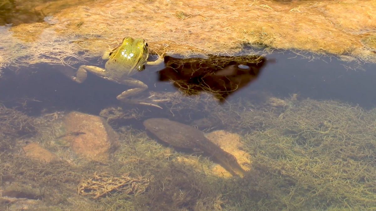 Nuevo capítulo de Exploradores: ¿Cuáles son los desafíos de trasladar ...