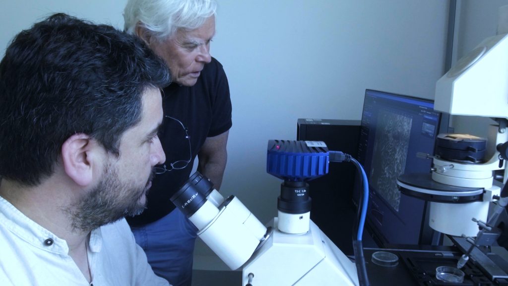 Nuevo capítulo de Exploradores: ¿Cuáles son los desafíos de trasladar ...